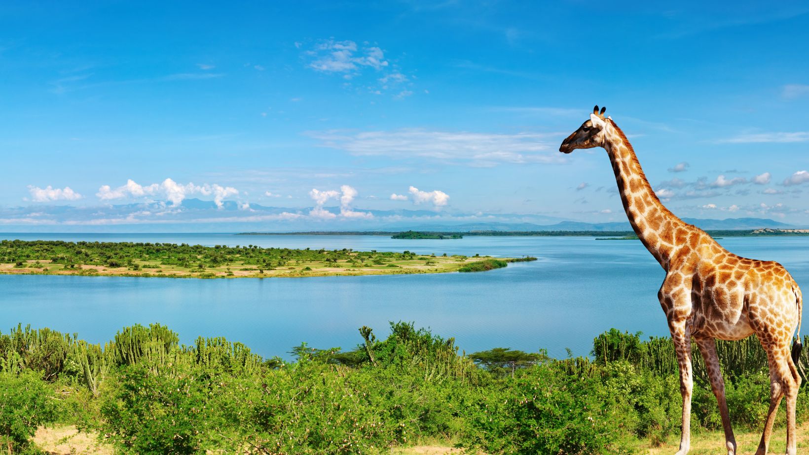 An In-Depth Exploration of the Nile River - Creative Culture Tribe